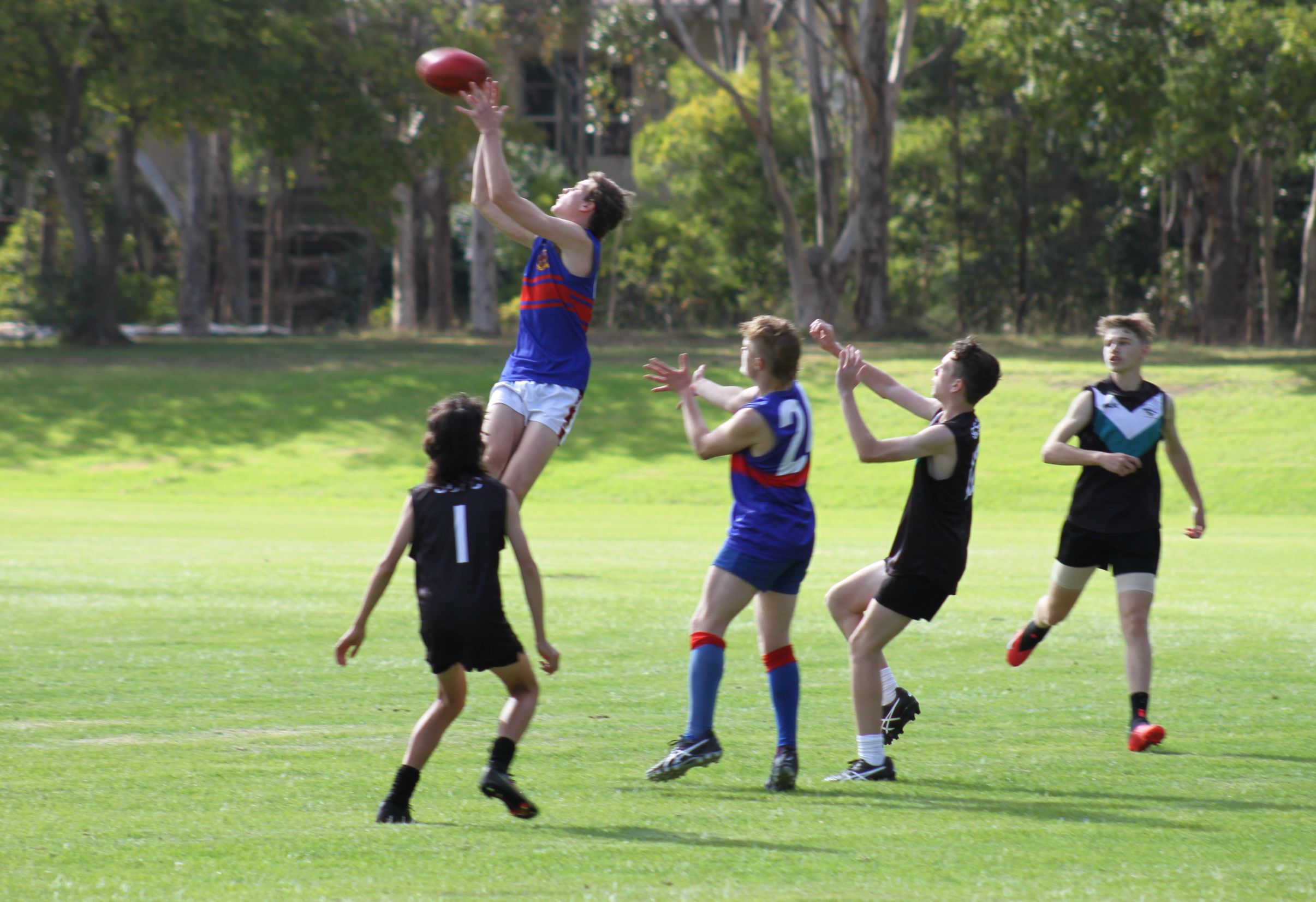 Intermediate Football Highlights - Catholic College Sale